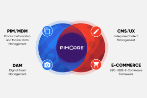 Pimcore Development: Transform Your Digital Journey