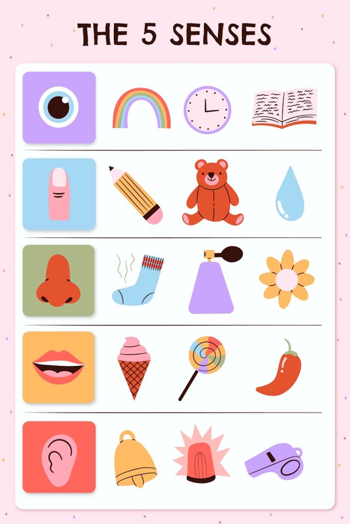 7 Activities to Teach Kids About the Five Senses - The Run Time