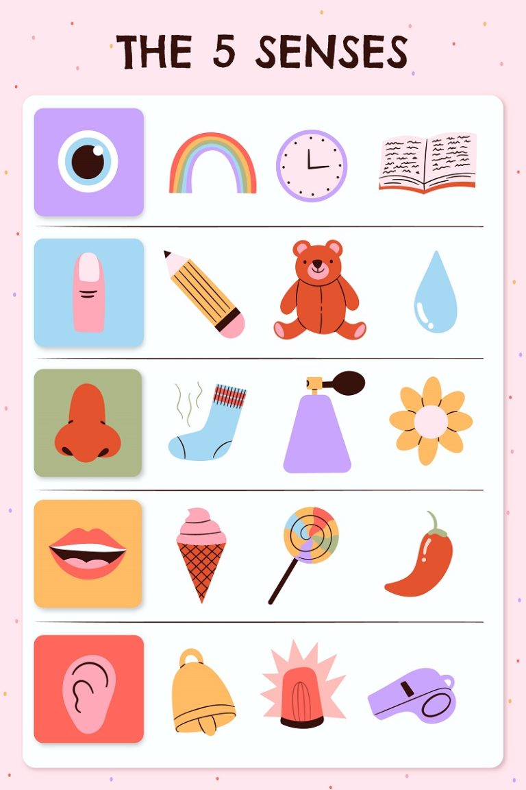 7 Activities to Teach Kids About the Five Senses - The Run Time