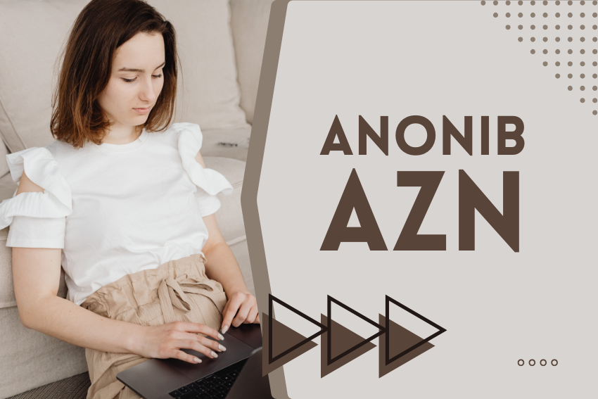 Anonib AZN: The Rise and Risks of Anonymous Image Boards - The Run Time