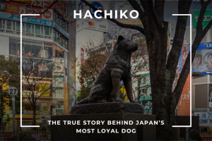 Hachiko: The True Story Behind Japan’s Most Loyal Dog - The Run Time