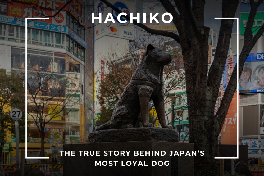 Hachiko: The True Story Behind Japan’s Most Loyal Dog - The Run Time